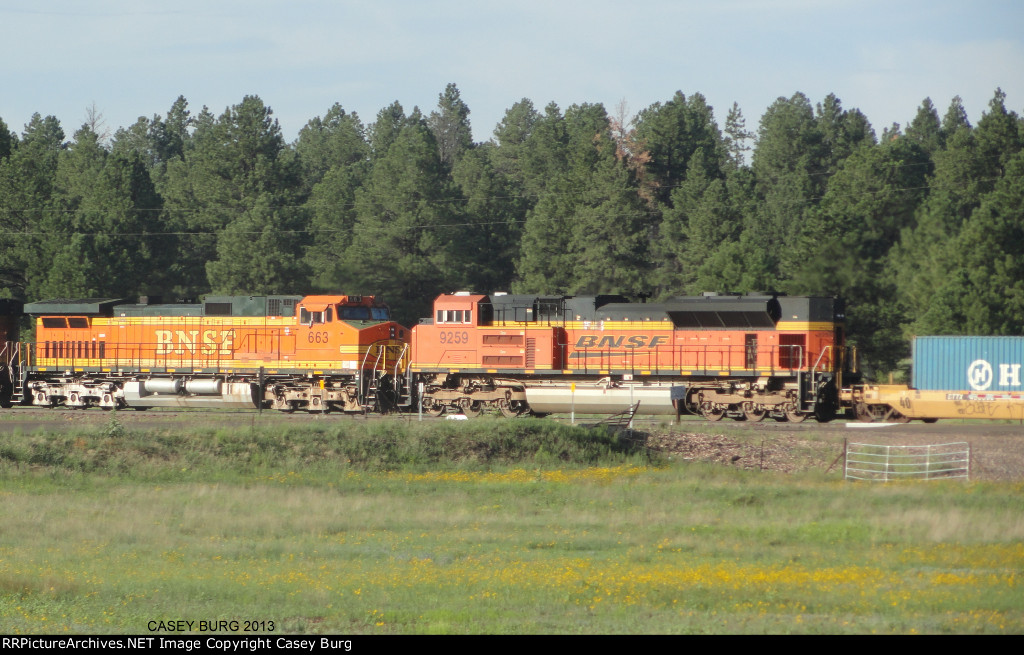 BNSF 9259, BNSF 663